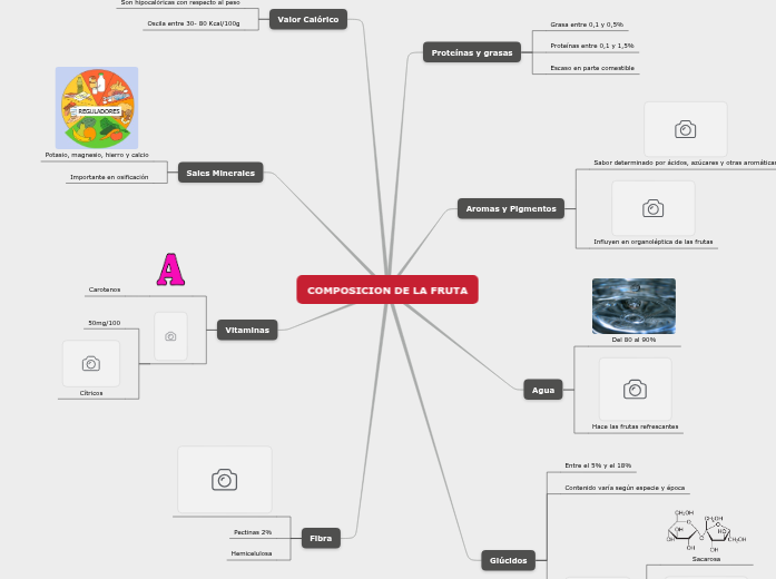 COMPOSICION DE LA FRUTA - Mind Map